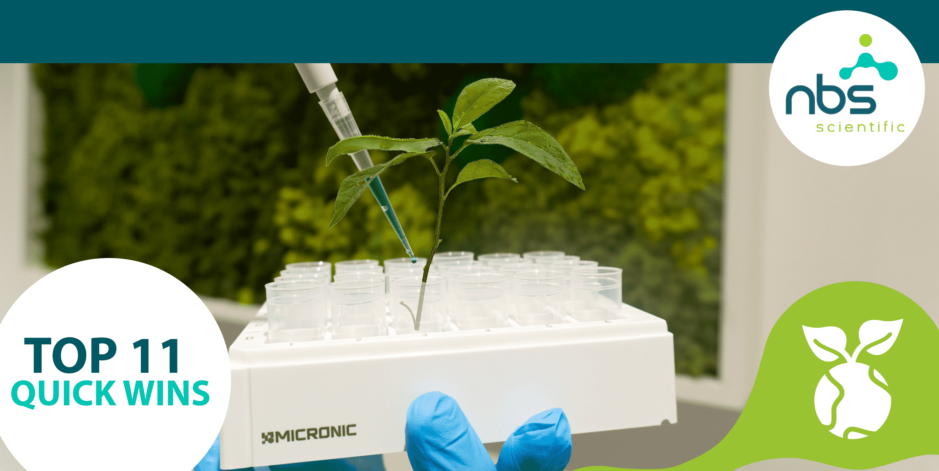 Les 11 meilleures solutions pour un laboratoire durable - NBS Scientific FR